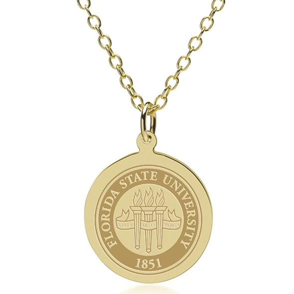 FSU 18K Gold Pendant & Chain | M.LaHart & Co.
